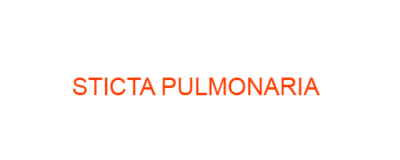 STICTA PULMONARIA: Homeopathic Medicine Uses, Symptoms, Treatment ...