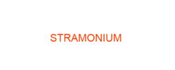 STRAMONIUM: Homeopathic Medicine Uses, Symptoms, Treatment | Materia ...